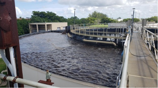 Sludge Yield and Cash Flow Projections - Lakepointe Environmental Group